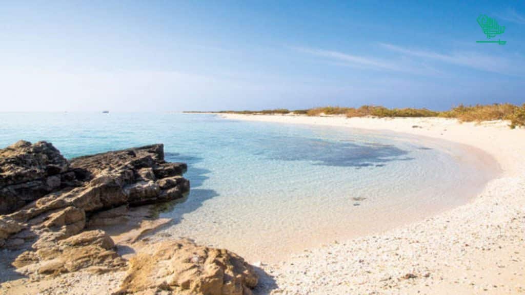 Visiting Umluj: The Best Decision You Can Make | Saudi Scoop