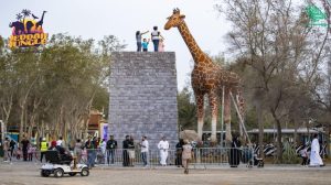 Jeddah Jungle park Saudi Arabia Ticket Price & Timing | Saudi Scoop