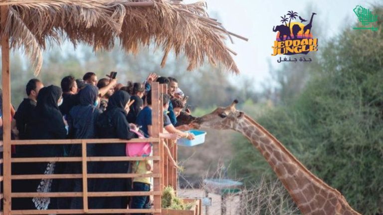 Jeddah Jungle park Saudi Arabia Ticket Price & Timing | Saudi Scoop