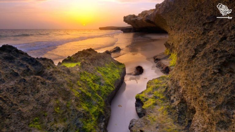 Top 11 Tourist Places to Visit & Things to do in Jizan | Saudi Scoop