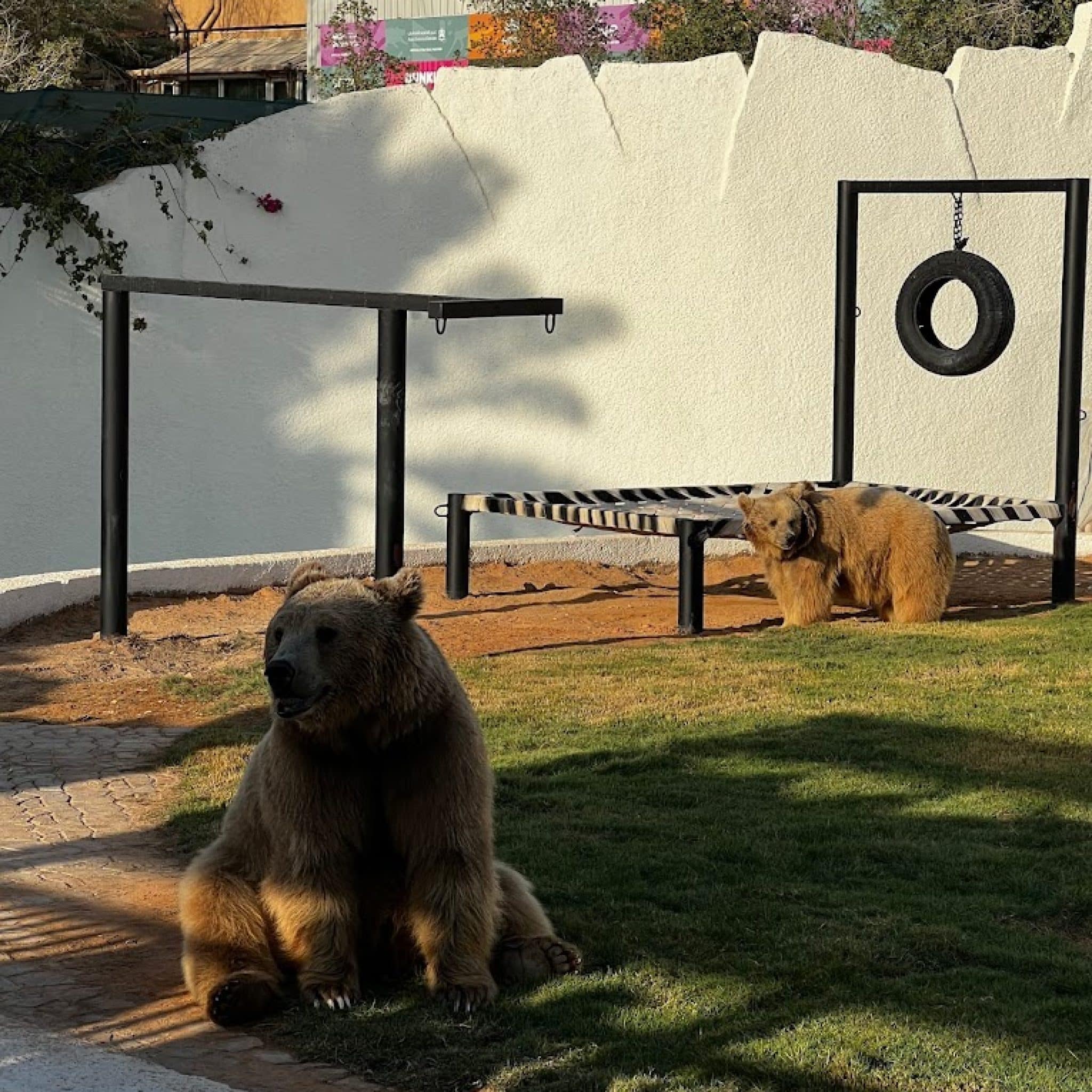 Riyadh Zoo Timings, Location, Entry Fee & Animals | Saudi Scoop