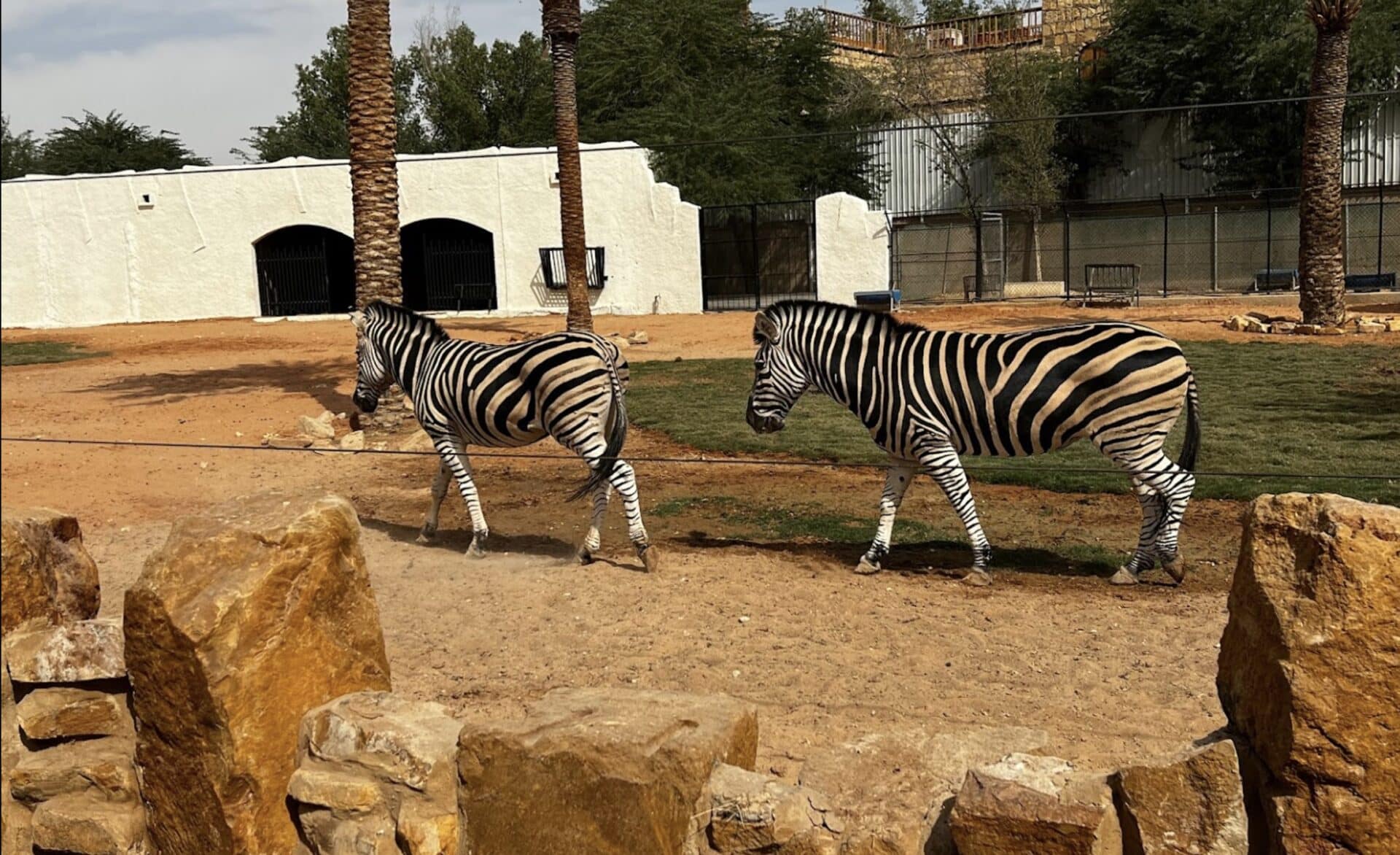 Best Things To Do With Kids in Saudi Arabia | Saudi Scoop