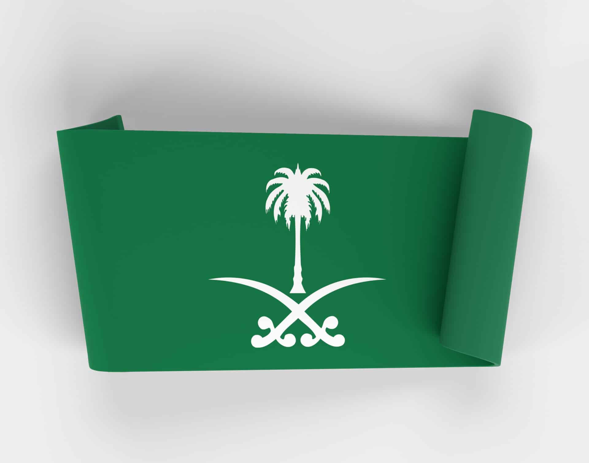Saudi Arabia Revises Visa Fees for 2025 | Saudi Scoop